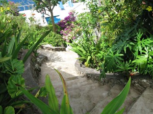 Shearwater Estate - SOLD! - by Albert & Michael - Saba Island ...