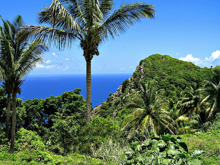 Come Home to Nature - Albert & Michael - Saba Island Properties - Saba ...