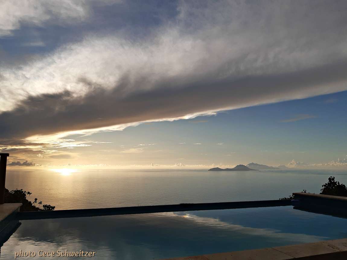 An 8 Point Foolproof Plan - See If Saba's Right For You - Albert ...